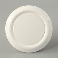 China 240V Plastic Centrifugal Inline Duct Fan for Greenhouse Hydroponics Exhaust Ventilation for sale