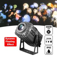 China 300W Outdoor LED Gobo Projector with Zoom Lens Dynamic Floating Effect System for sale