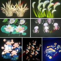 China 200W Outdoor LED Projector Ripple Floating Zoom Gobo Dynamic Waterproof IP65 for sale