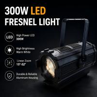 China 300W LED Fresnel Light Stage Lighting Spot LED Studio Theater Light DMX for sale