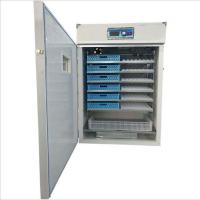 China Large Single Stage Fully Automatic Egg Incubator Commercial For Chicken for sale