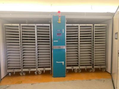 China Stainless Steel Single Stage Incubator 1000W Power for sale