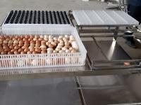 China Transfer Commercial Automatic Egg Candling Table Equipment Machine for sale
