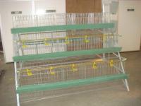 China Automated Poultry Farm Accessories 3 4 Tier Poultry Chicken Egg Layer Battery Cage System For Broilers for sale