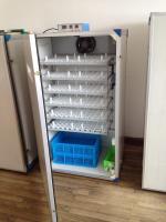 China 400 Egg Chicks Hatchery Machine for sale