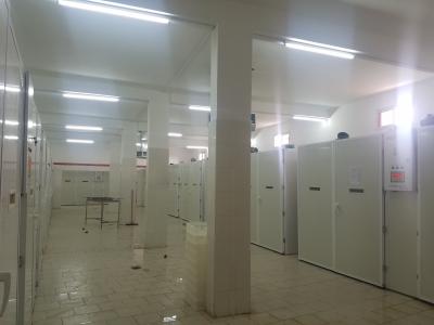 China Cabinet Single Stage Incubator Automatic Turner 30000 High Capacity 6.5kw for sale