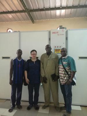 China Industrial Commercial Quail Egg Incubator 90000 Eggs Auto Turning  6.5kw for sale