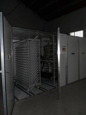 China Commercial Single Stage Incubator Setter Machine For Eggs 18000 for sale
