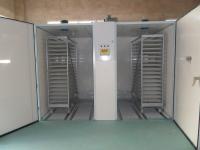 China 31824 Quail Eggs Single Stage Incubator 3.8KW With Hatcher for sale