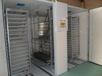 China 90 Degree Turning Farming Chicken Egg Hatchery Machine for sale