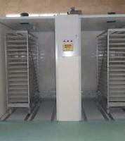 China Automatic Single Stage Incubator 90 Degree Turning With 384 Trays for sale