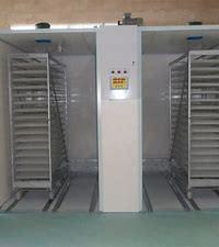 China Automatic Single Stage Incubator 90 Degree Turning With 384 Trays for sale