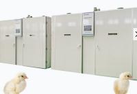 China 57600 Chicken Eggs Single Stage Incubator Hatching Machine for sale