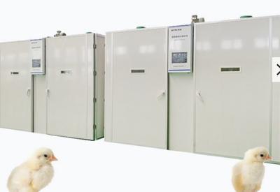 China 57600 Chicken Eggs Single Stage Incubator Hatching Machine for sale