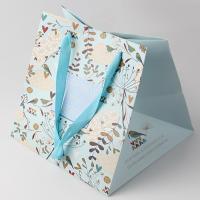 China Hand Held Custom Printed Gift Bags Waterproof Fashionable For Shopping Mall for sale