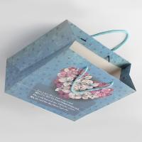 China High End Custom Clothing Packaging Beauty Clothing Shopping Bag Lightweight for sale