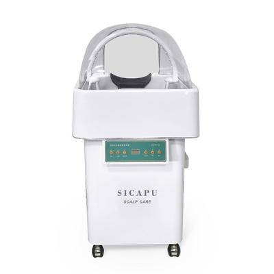China Professional Hair Spa Steamer Machine 1500W 9000ml Water Tank with 0-55°C Temperature Control for Salon Treatments for sale