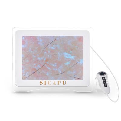 China 70x Magnification 15 Inch HD Skin Analyzer with 2MP Resolution and 110-240V Operation for Professional Salon Use for sale
