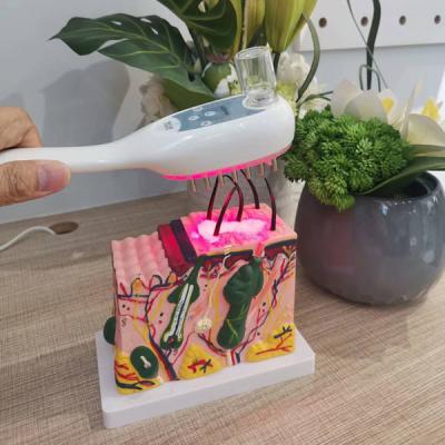 China Portable Laser Hair Growth Comb Anti‑Hair Loss Scalp Treatment Device for hair salon for sale