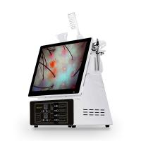 China BL-2005 Professional Hair Treatment Machine with 15 Inch Screen and 130W Power for Salon & Home Use for sale