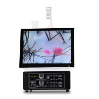 China BL-2005 Professional Hair Treatment Machine with 15-inch Display and 130W Power for Salon Scalp Care for sale