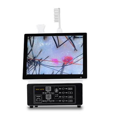 China BL-2005 Professional Hair Treatment Machine with 15-inch Display and 130W Power for Salon Scalp Care for sale