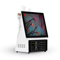 China BL-2005 Professional Hair Treatment Machine with 15 Inch Screen and 130W Power for Salon & Home Use for sale
