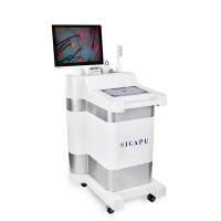 China BL-2012 Hair Therapy Machine with 15-inch HD Analyzer, 5-in-1 Massage Heads, 110-240V Voltage Range for Professional Salon Use for sale