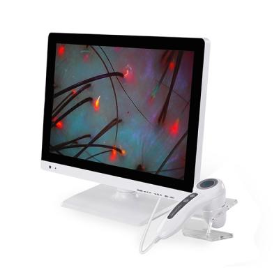 China SICAPU BL-661 15-Inch HD Hair Analyzer with 200x Magnification Lens and 1080P Resolution for Professional Use for sale