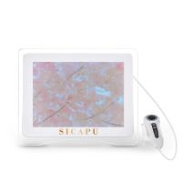 China 15 Inch HD Skin Analyzer with 70x Magnification and 2MP Resolution for Professional Skin Testing for sale