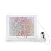 China 15 Inch HD Skin Analyzer with 70x Magnification and 2MP Resolution for Professional Skin Testing for sale