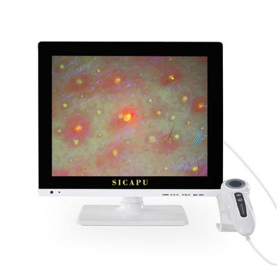China SICAPU BL-661 Commercial Skin Analyzer 15 Inch LCD with 70x Tri-Spectral Imaging for Professional Skin Care for sale