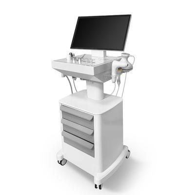 China BL-259 Scalp Care Machine 120W with 110/220V Dual Voltage for Professional Hair Therapy and Treatment for sale
