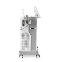 China 6-in-1 Multi-Function Salon Beauty Equipment professional hair restoration machine for hair regrowth for sale