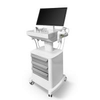 China 80W Multifunctional Hair Therapy Machine BL-259 with 110/220V Dual Voltage for Professional Scalp Care for sale