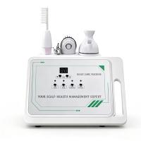 China Multifunctional 4 In 1 Portable Scalp Treatment Machine Deep Scalp Massage Cleansing Therapy Device For Hair Follicle Care for sale