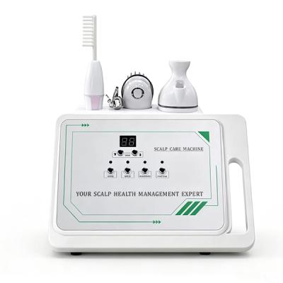 China Multifunctional 4 In 1 Portable Scalp Treatment Machine Deep Scalp Massage Cleansing Therapy Device For Hair Follicle Care for sale