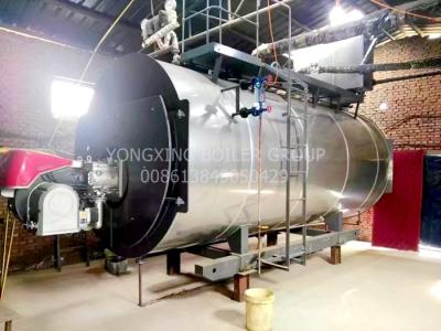 China Stainless Steel Industrial Gas Fired Steam Boilers Dual Fuel Oil Gas Low Noise for sale