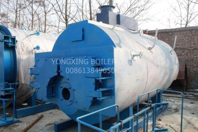 China Fully Automatic Natural Gas Fired Steam Boiler For Crude Palm Factory for sale
