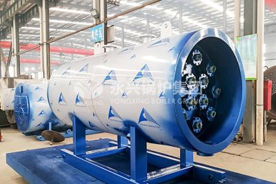 China Green House Electrical Thermal Oil Boiler Thermal Fluid Heater Low Pressure for sale