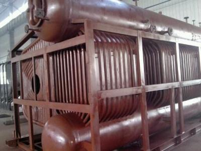 China Environmental Friendly Gas Fired Steam Boiler Water Tube Steam Boiler for sale