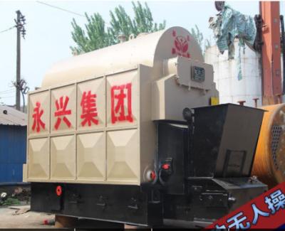 China DZL Chain Grate Stoker Coal Fired Steam Boiler For Food Factory 6 TON for sale