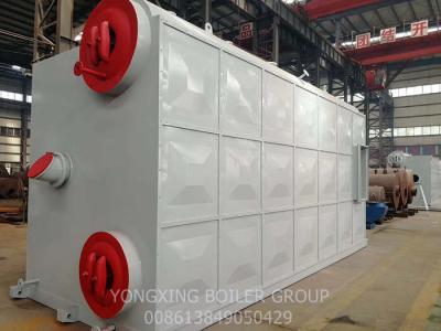 China Double Drum Gas Fired Steam Boiler For Paper Industry Low Consumption Fuel for sale