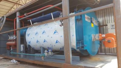 China 10Ton Gas Fired Boiler Efficiency Wet Back Structure  Industrial Boiler Use In Milk Factory for sale