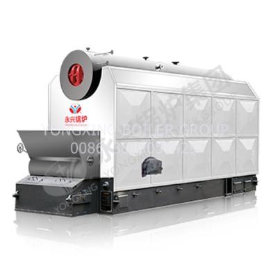 China Automatic Chain Grate Coal Fired Steam Boiler For Greenhouse Heating System for sale