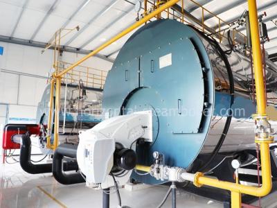 China Remarkable Industrial Gas Fired Steam Boilers Energy Saving Effect With Fast Installation for sale