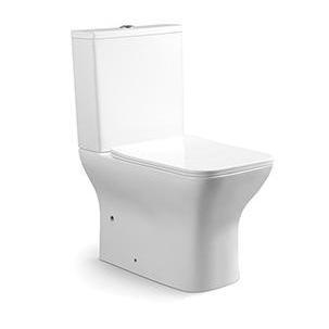China Siphon Flushing Two Piece Toilet Rimless Floor Mounted Water Saving for sale