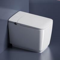 China Modern Smart Toilet for a High-Tech and Comfortable Bathroom Experience for sale