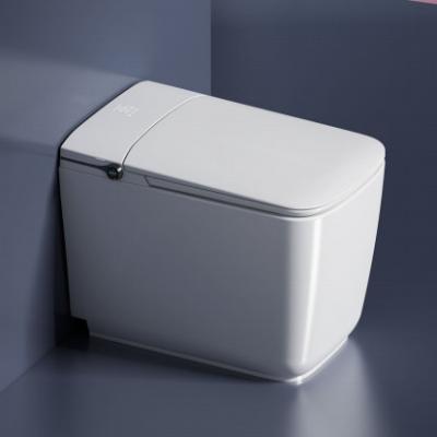 China Modern Smart Toilet for a High-Tech and Comfortable Bathroom Experience for sale