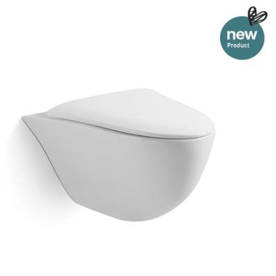 China Special Shapes Wall Mounted Hidden Cistern Toilet Water Saving Single Hole for sale